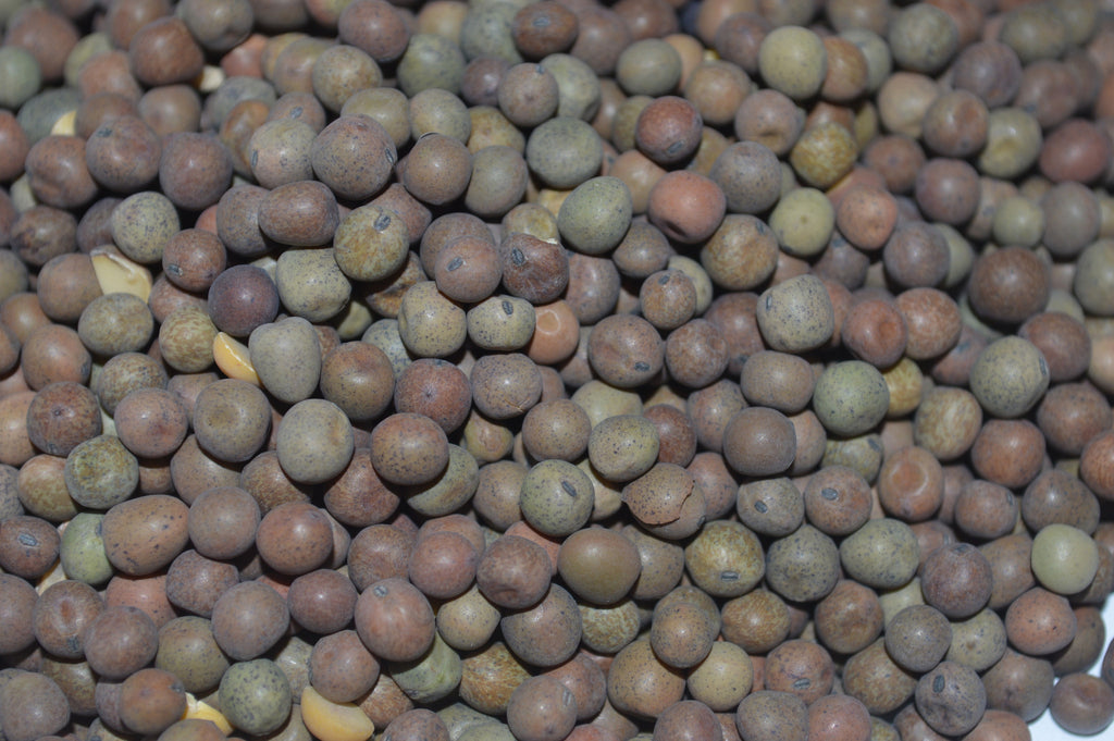 Austrian Snow Peas – Wildlife Seed Supply